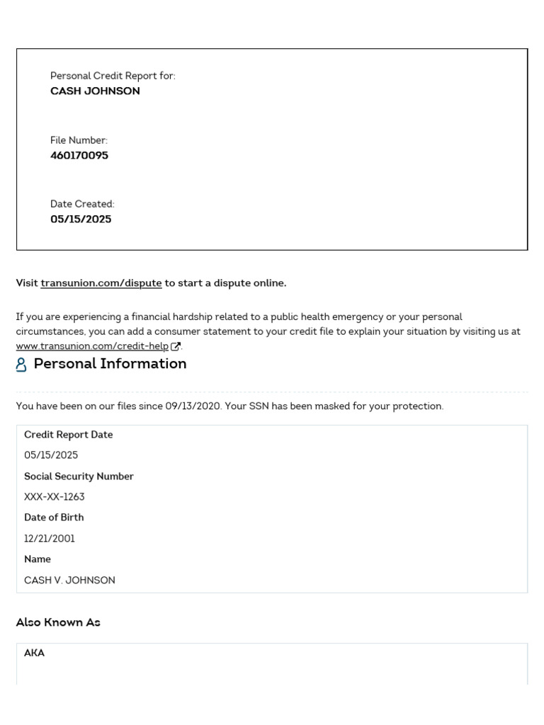 Cash Johnson's Credit Report Summary | PDF | Credit | Finance & Money ...