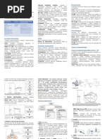 Tórax Tonel, Pectus Carinatum e Pectus Exacavatum | PDF | Doença de ...