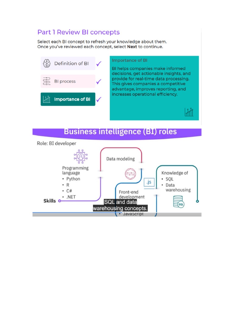 BI Essentials | PDF