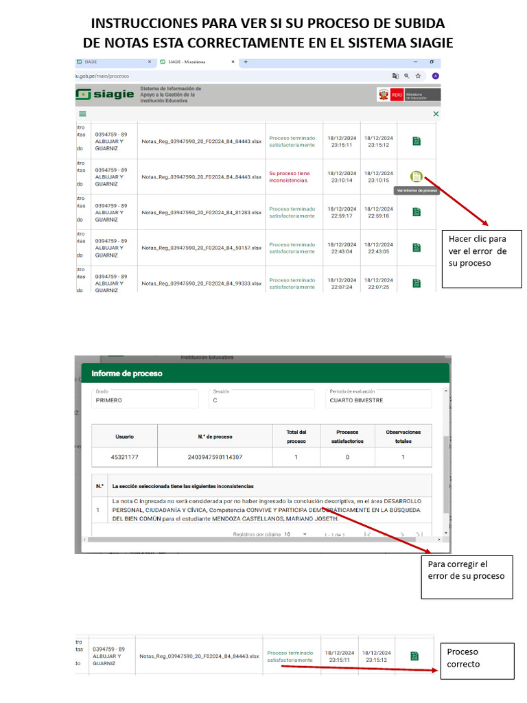 Instrucciones para Subir Notas en El SIAGIE V3docx | PDF