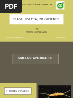 Abecedario de Insectos: A a Z | PDF