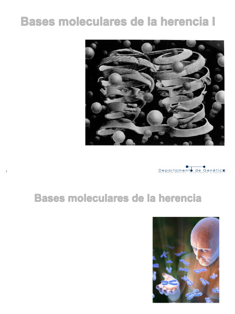 T6B GEN Replicación Del ADN | PDF | Replicación De Adn | Adn
