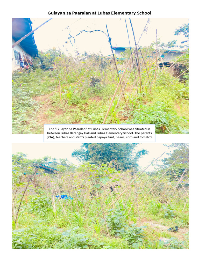 Gulayan Sa Paaralan at Lubas Elementary School | PDF