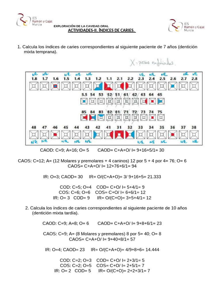 25-actividades-II Indices CAOD | PDF