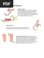 Laminación de Rexed | PDF | Médula espinal | Cerebelo