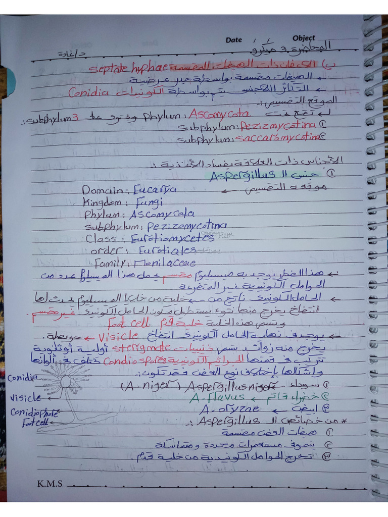 محاضرة 3 ميكرو Gh.sh | PDF