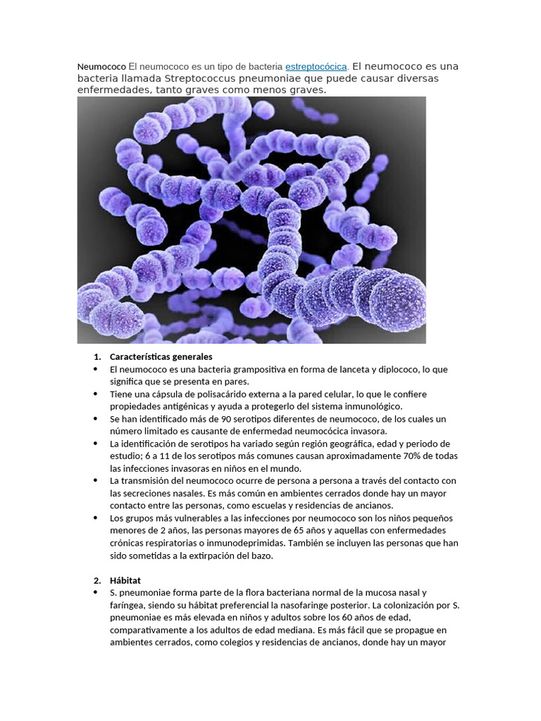 Neumococo o Streptococcus Pneumoniae | PDF | Neumonía | Las bacterias