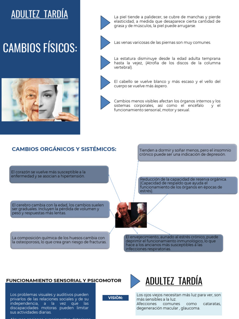 Adultez Tardía | PDF | Adultos | Vejez