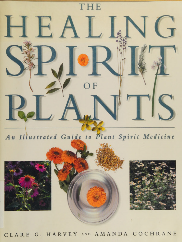 The Healing Spirit of Plants _ an Illustrated Guide to Plant -- Clare G ...