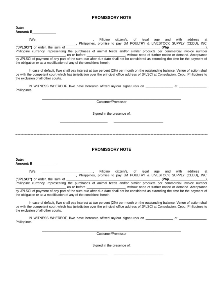 Promissory Note Template | PDF | Promissory Note | Money