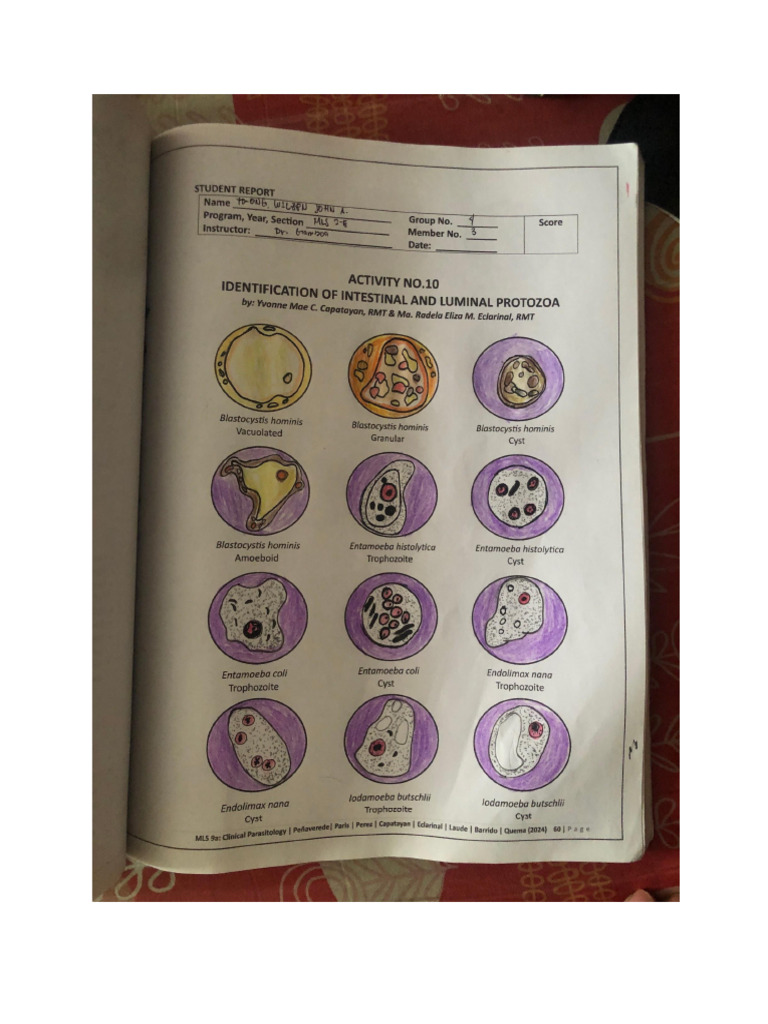 PARASITOLOGY - Activity 10 | PDF