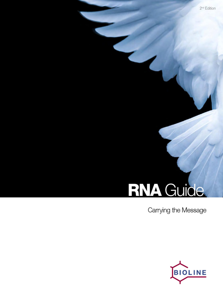 Rna GBLV1 | PDF | Complementary Dna | Reverse Transcriptase