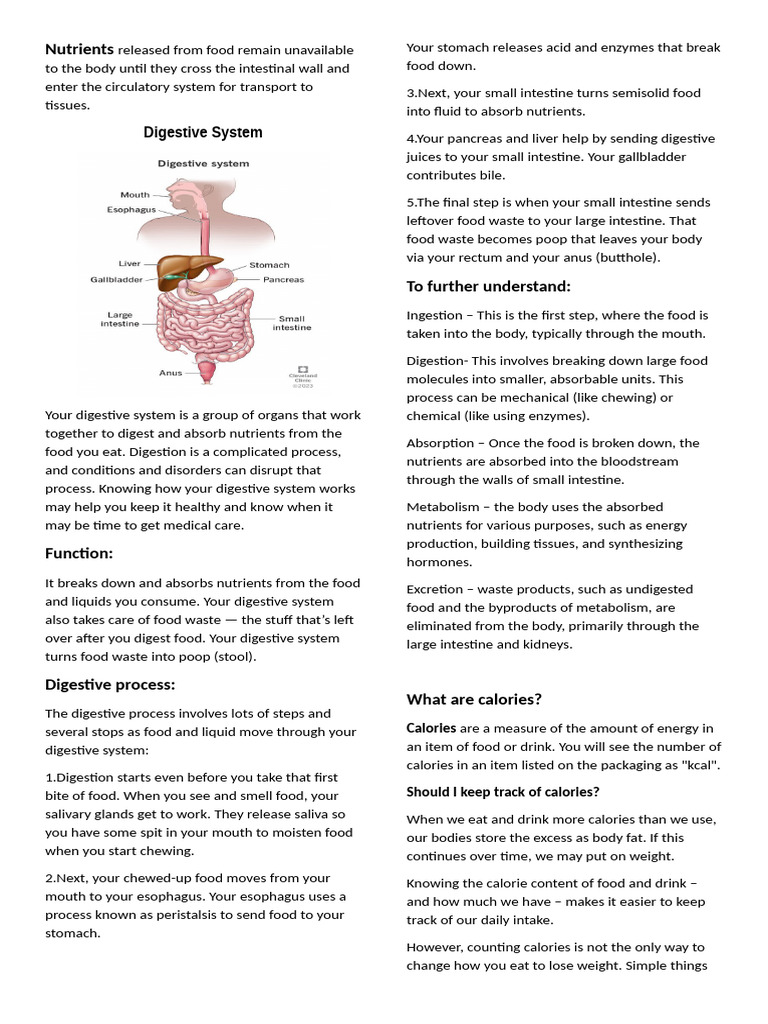 Finals-Nutrition-Digestive Processes & Calories | PDF | Calorie | Digestion