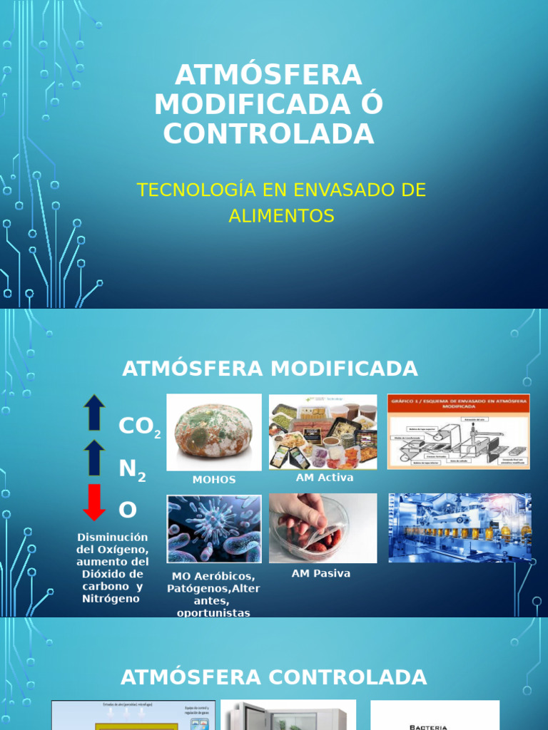 Atmósfera Modificada en La Alimentación | PDF