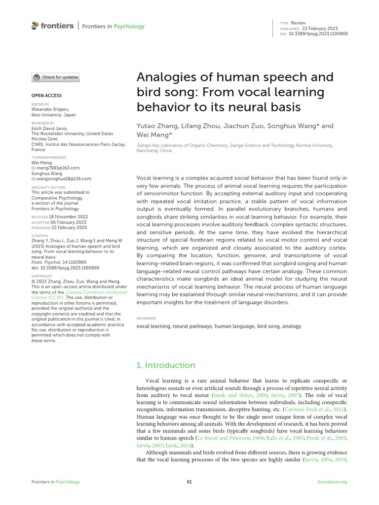 Analogies of Human Speech and Bird Song | PDF | Neuroscience