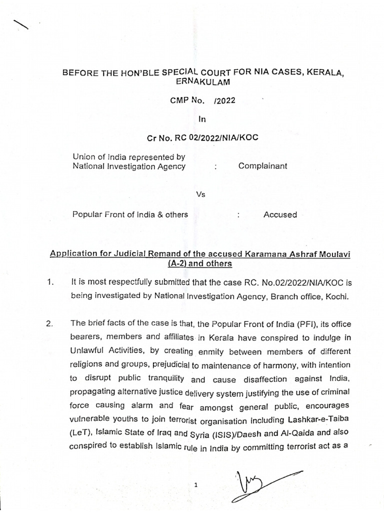 Remand Report | PDF