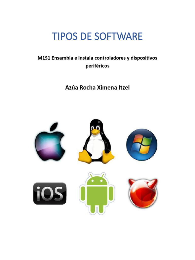 Tipos de Software | PDF