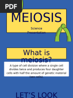 Meiosis: PMAT Stages Explained | PDF
