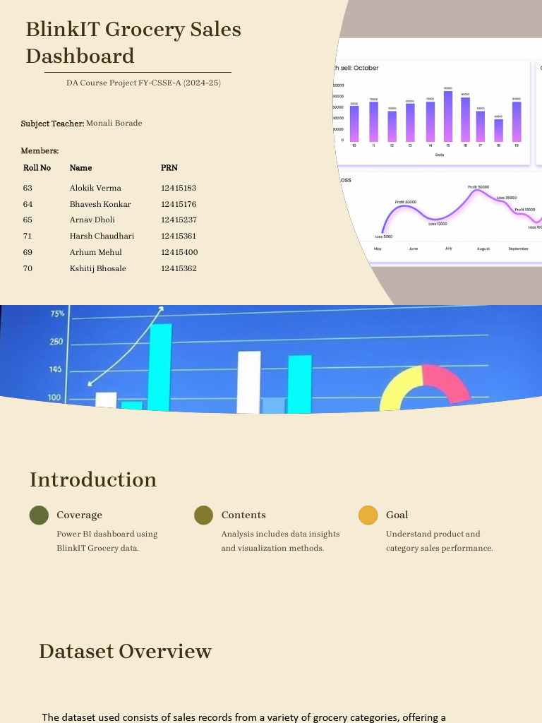 BlinkIT Grocery Sales Dashboard | PDF | Performance Indicator | Data