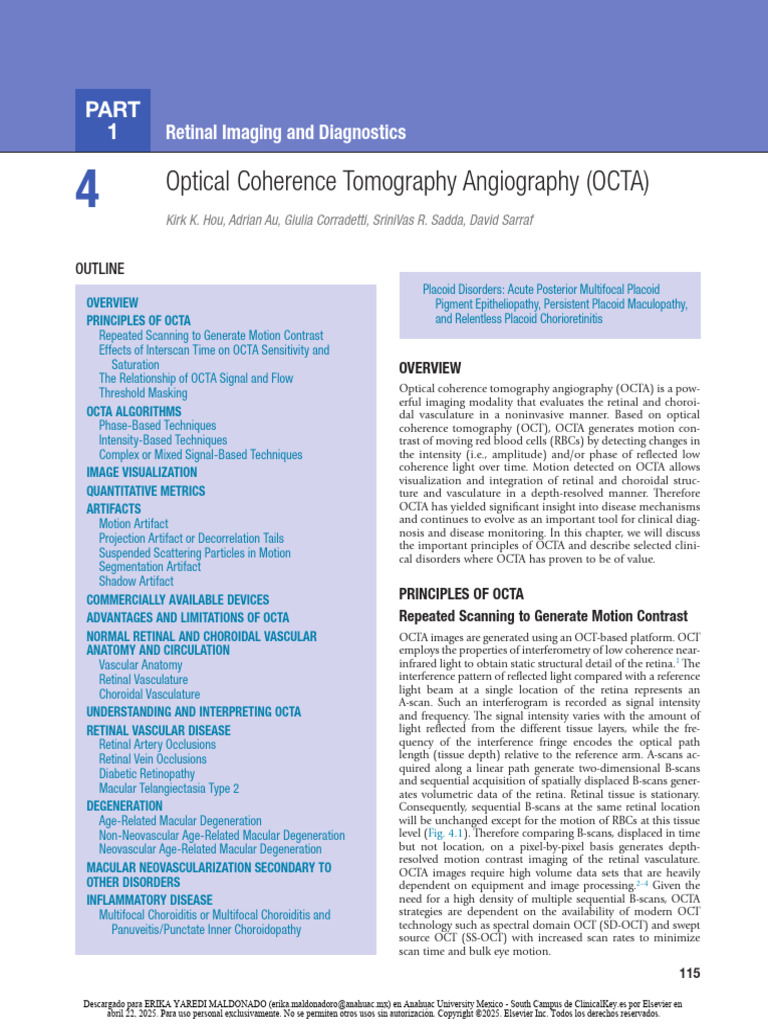 Angio OCT Retina | PDF | Retina | Vision