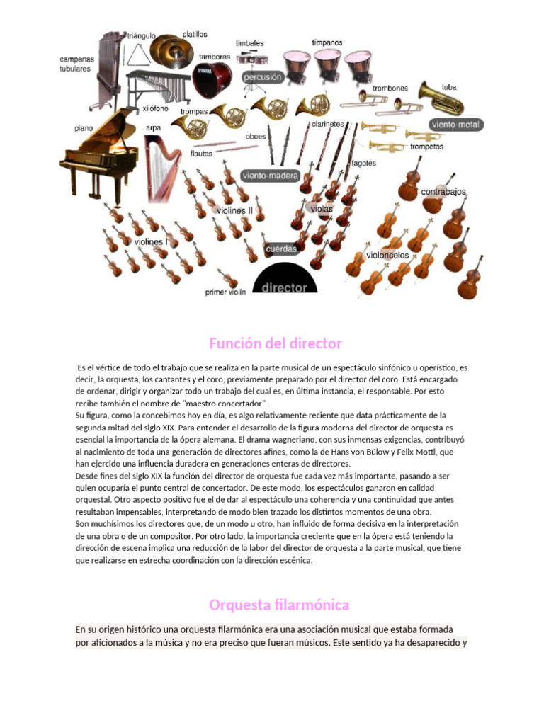 Función y organización de la orquesta | PDF | Orquestas | Instrumentos ...