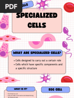 Specialised Cells Worksheet With Answers | PDF | Cell (Biology ...