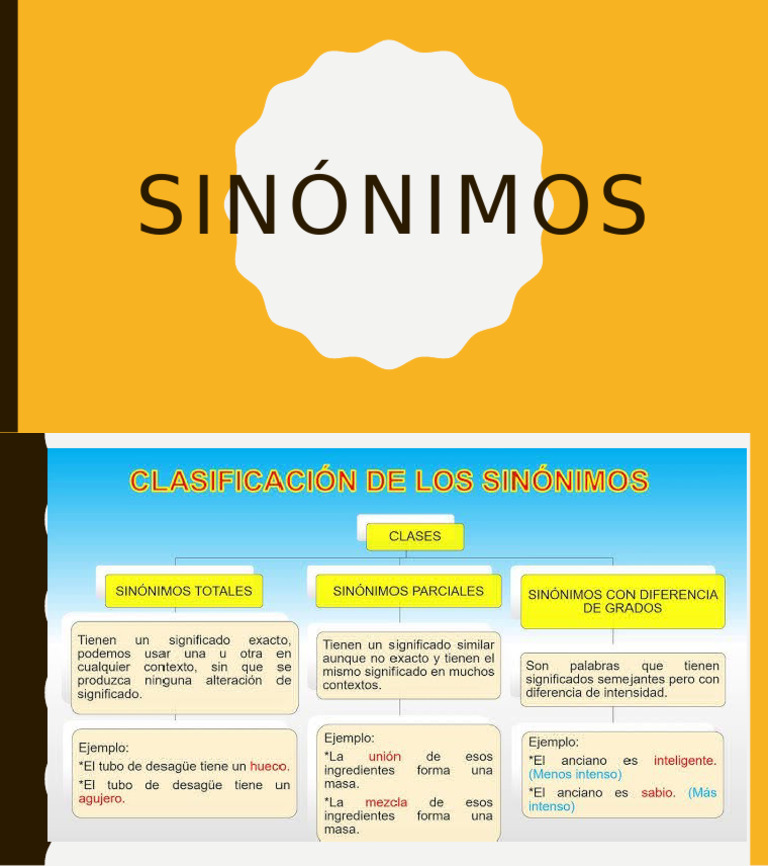 Sinonimos 2do Sec | PDF