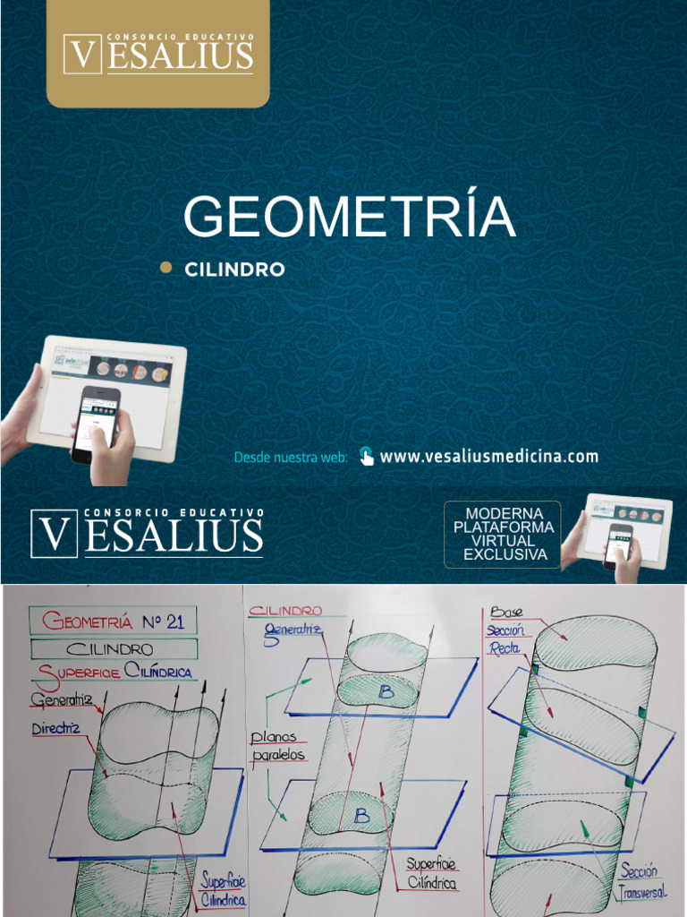 Ciclo Anual - Geometria - Tema 21.-Comprimido | PDF