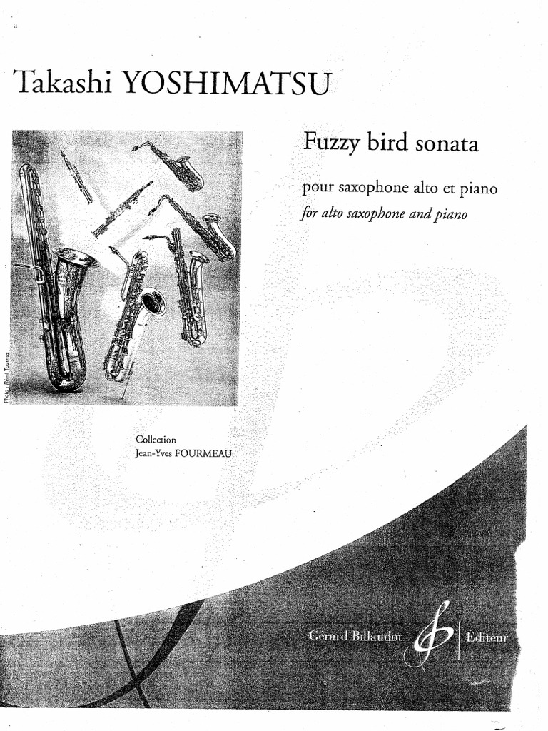 Open Fuzzy Bird | PDF