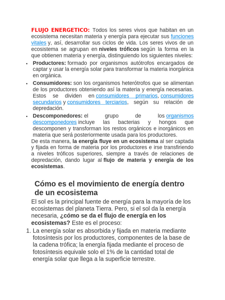 Flujo de Energía en Ecosistemas Terrestres | PDF | Red alimentaria ...