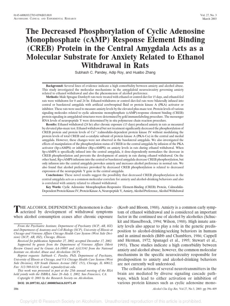 CREB Phosphorylation and Ethanol Withdrawal Anxiety | PDF | Amygdala ...