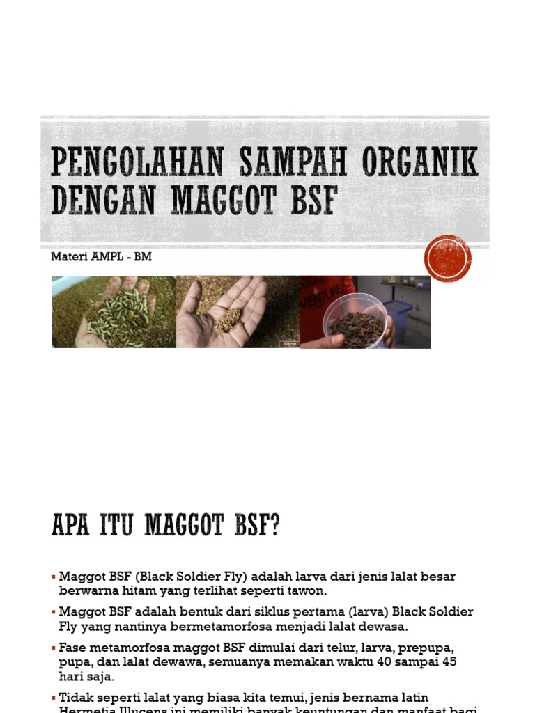 Materi 13 - Pengolahan Sampah Organik Dengan Maggot BSF | PDF