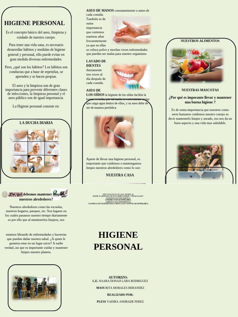 Triptico-de-la-Higiene-Personal | PDF | Higiene