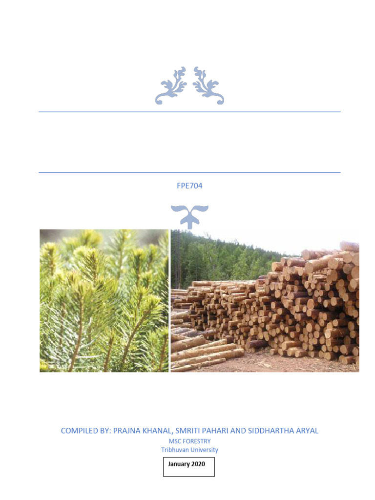 Utilization | PDF | Logging | Forest Management