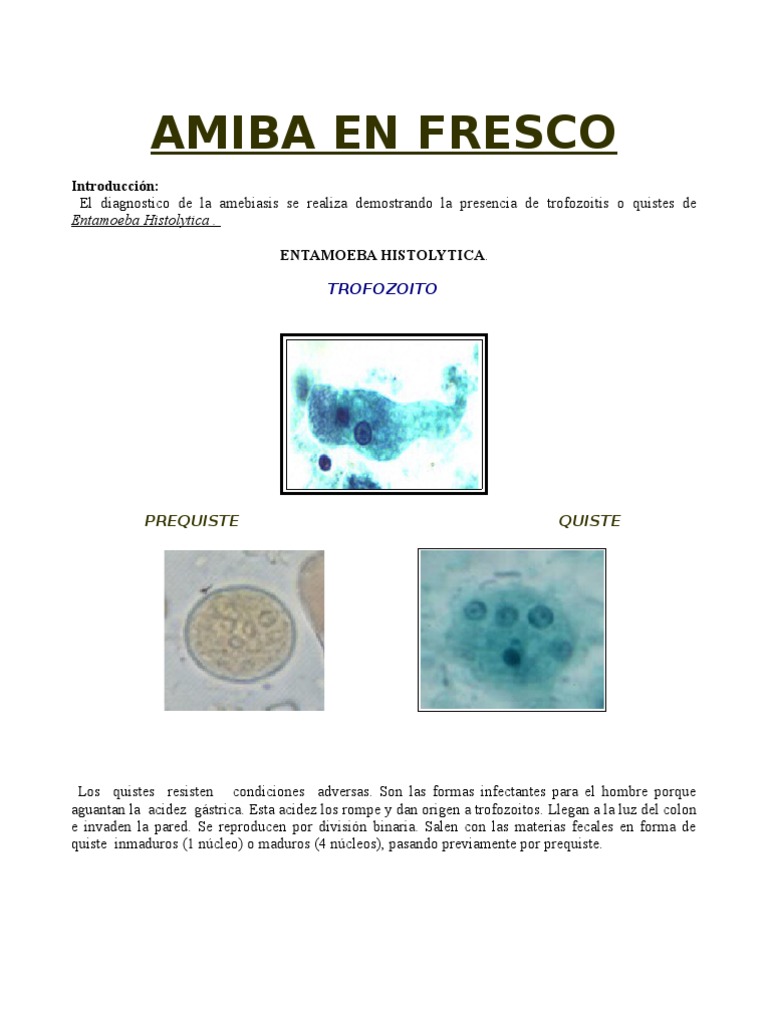 Para Amiba en Fresco | PDF | Epidemiología | Inmunología