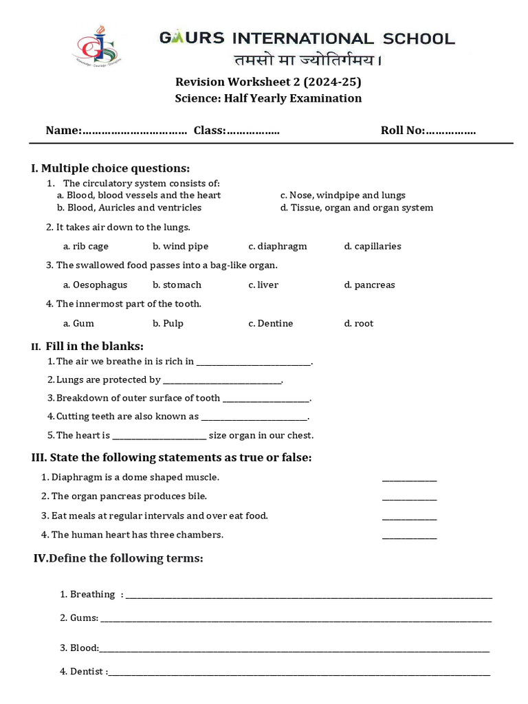 Grade 4 Heart and Circulatory Worksheet | PDF | Heart | Tooth