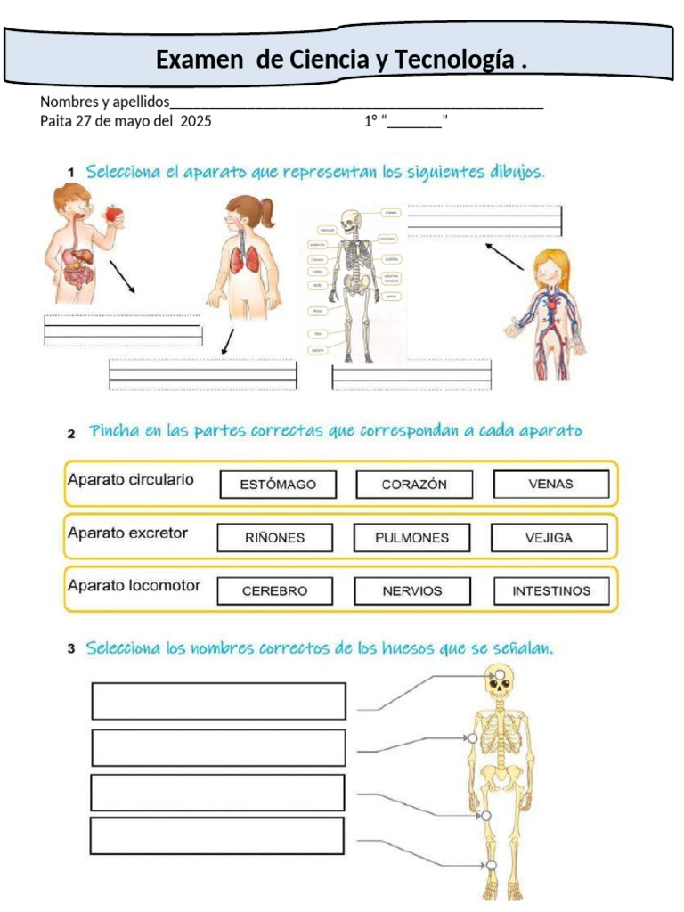 Examen de Ciencia y Tecnología | PDF