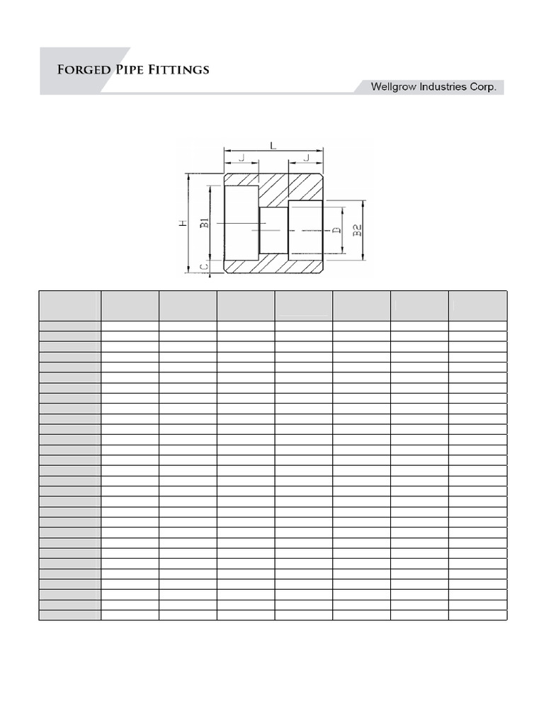 Eccentric Reducer Coupling Socket Weld | PDF | Building Engineering ...