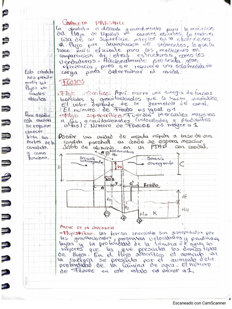 Tratamiento David Cadena | PDF