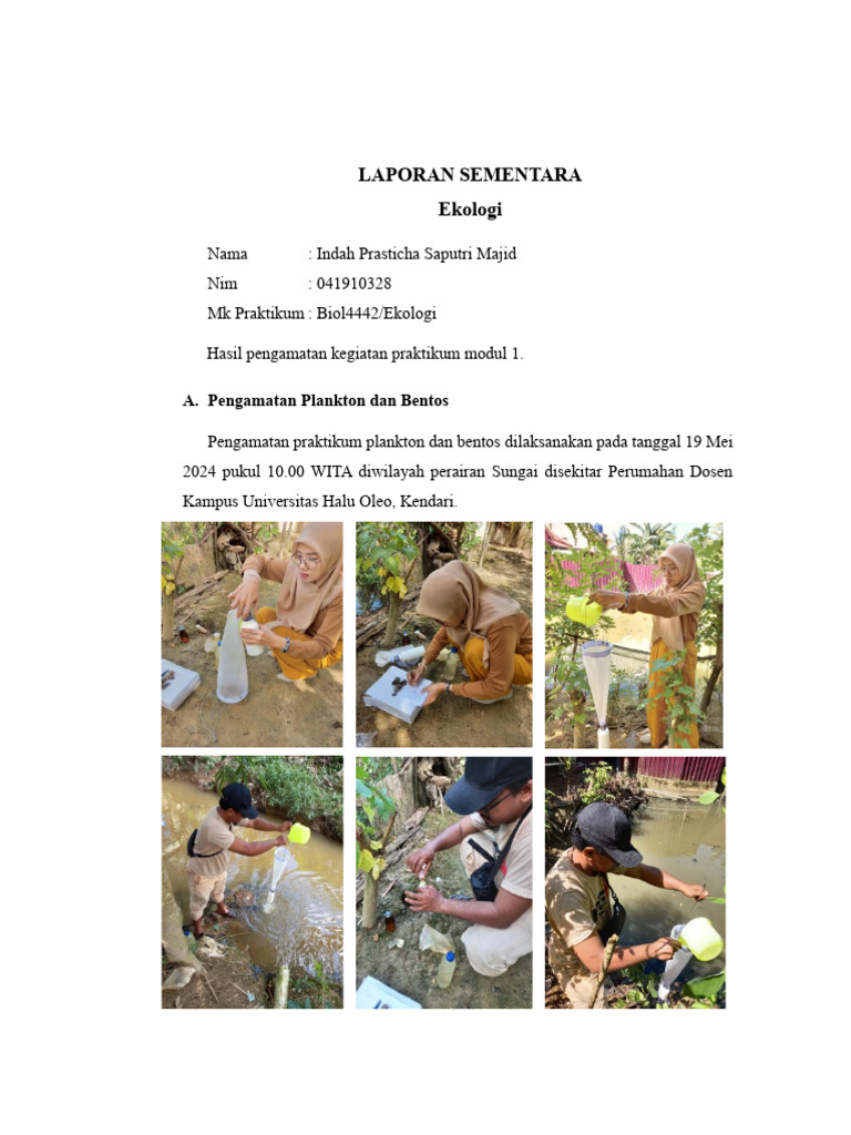 LAPORAN SEMENTARA EKOLOGI | PDF
