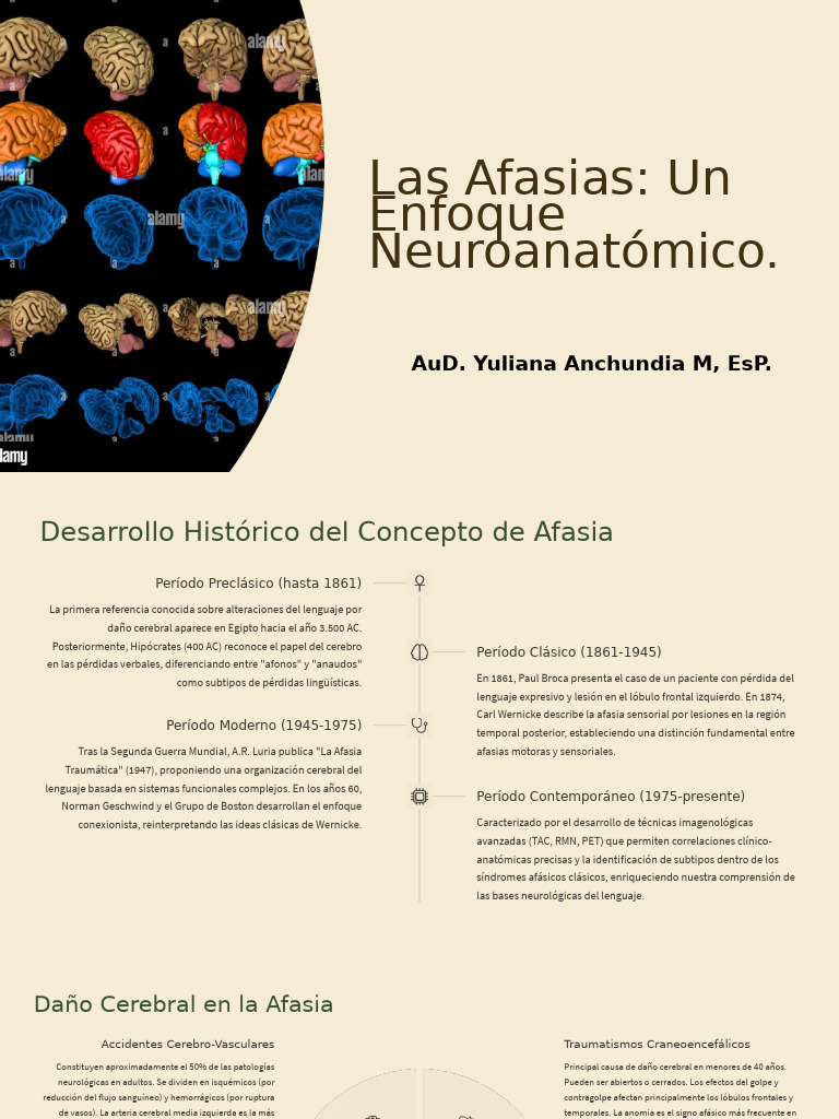 Clasificacion de Las Afasias Un Enfoque Neuroanatomico | PDF | Afasia | Neurociencia