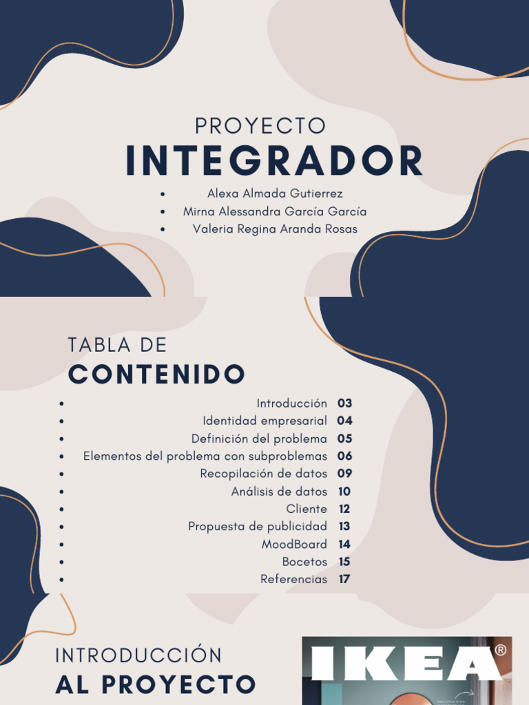 Proyecto Integrador E1 | PDF | Estereotipos | Sustentabilidad