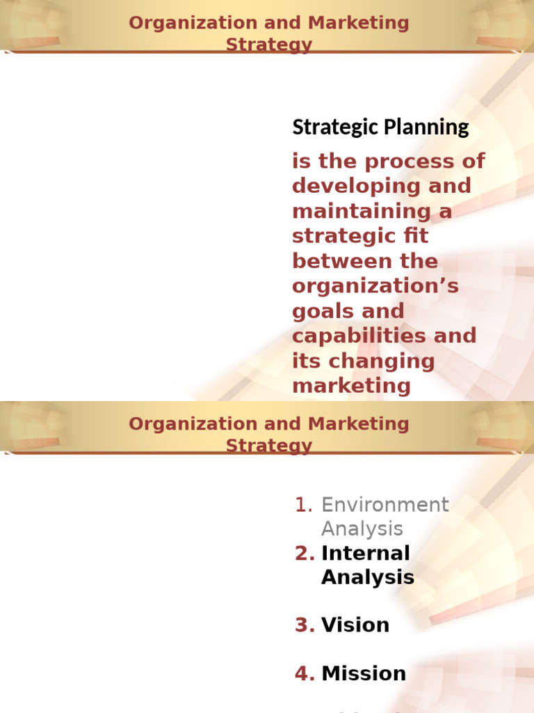 Organization and Marketing Strategy Guide | PDF