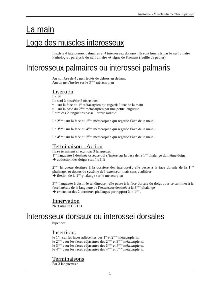 Muscles intrinsèques de la main | PDF | Main | Membres (anatomie)