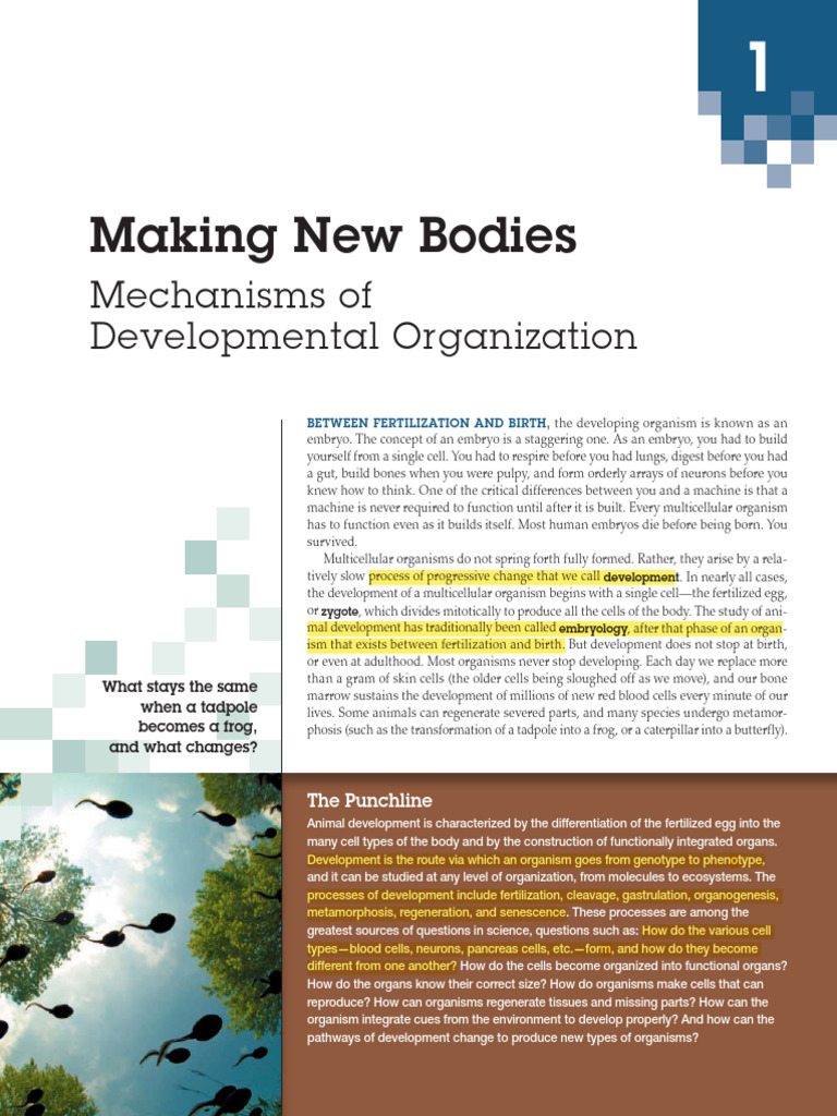 Chap 1 Gilbert Developmental Biology 11th Edition 2016-29-56 | PDF ...