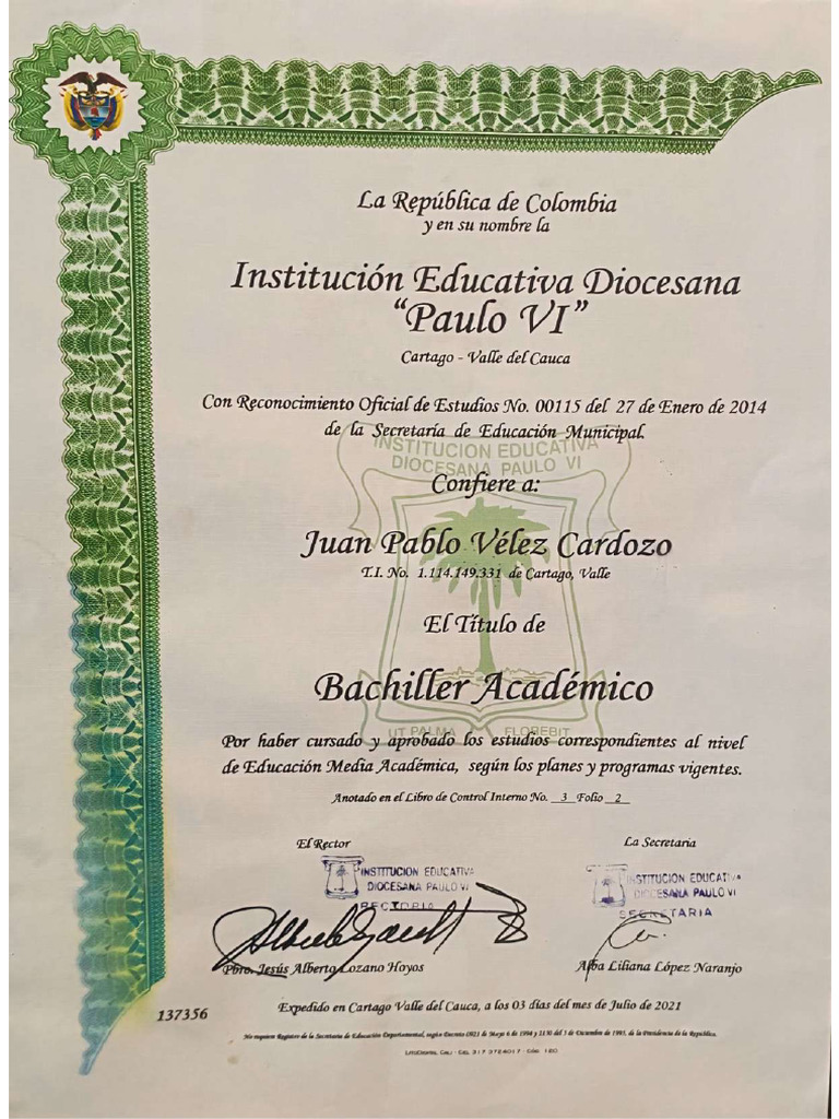 Diploma de Grado | PDF