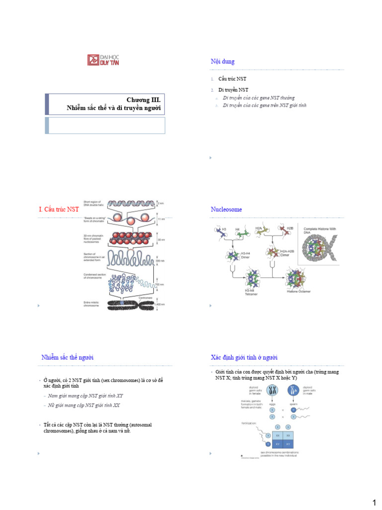BIO 252 - Sinh Hoc Phan Tu - 2020S - Lecture Slides - 3 | PDF
