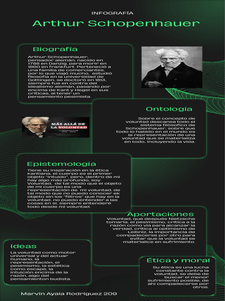Filosofía de Schopenhauer: Voluntad y Pesimismo | PDF | Arthur ...