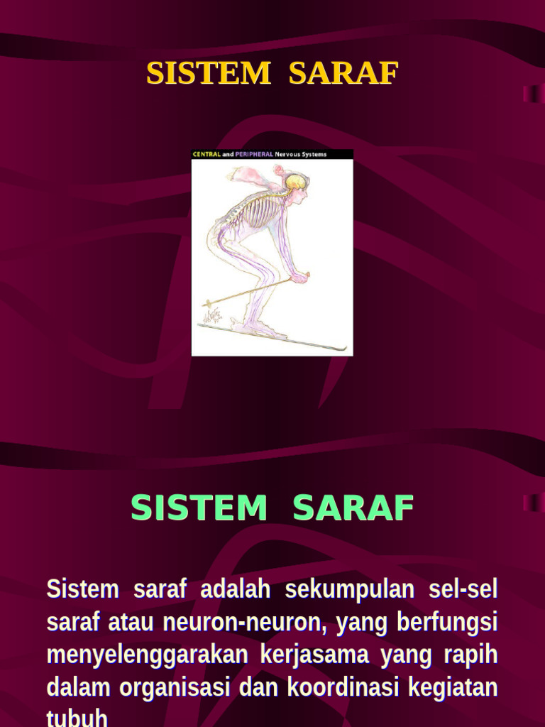 Sistem Saraf | PDF