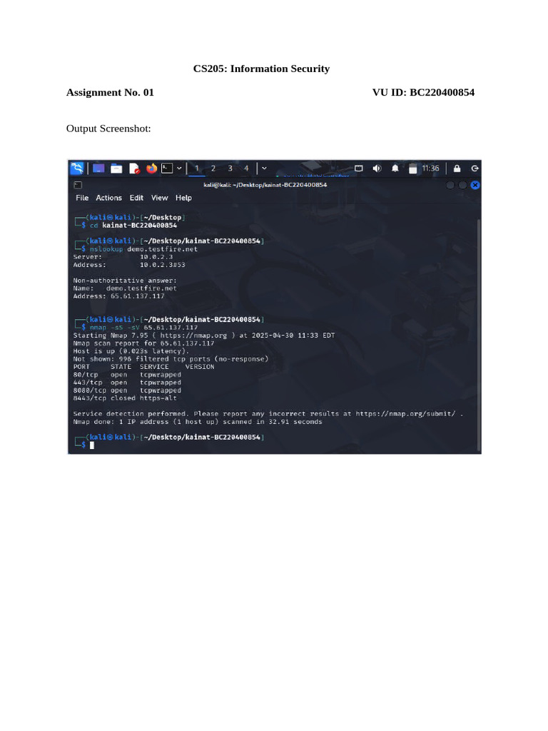 CS205 Assignment 1 | PDF